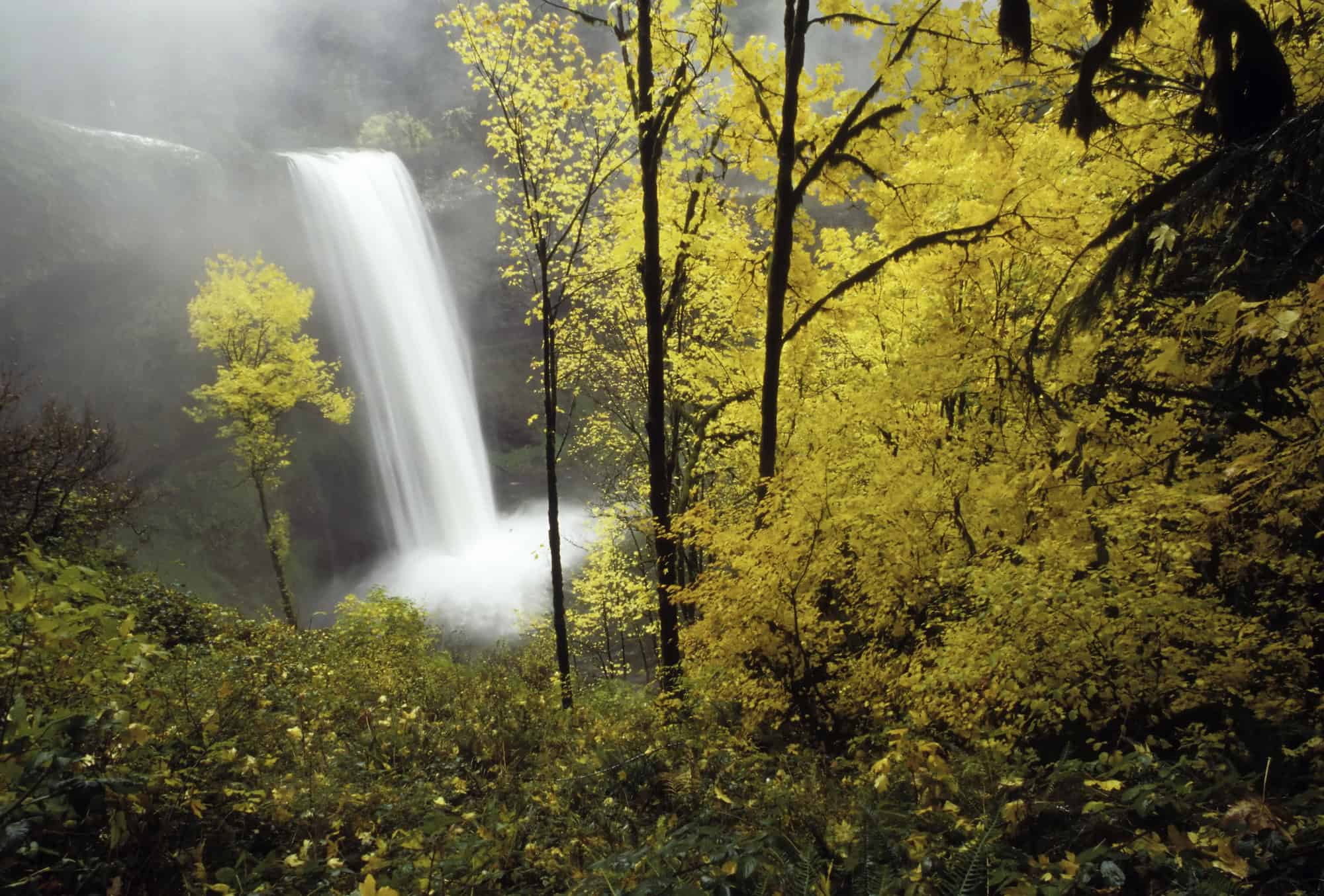 16 Best Things to Do in Silverton, Oregon: Small-Town Charm Filled With ...